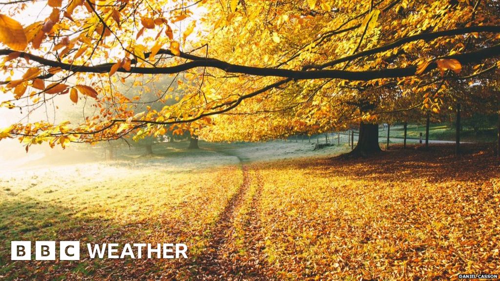Autumn Colours - BBC Weather