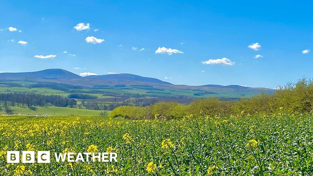 Weather for the Week Ahead - BBC Weather