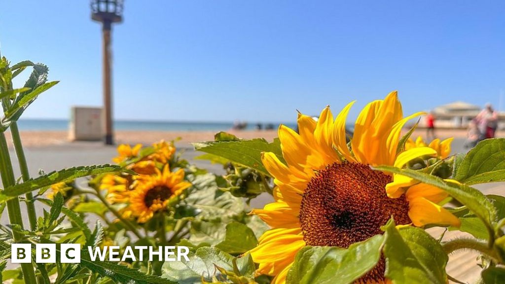 Weather for the Week Ahead - BBC Weather