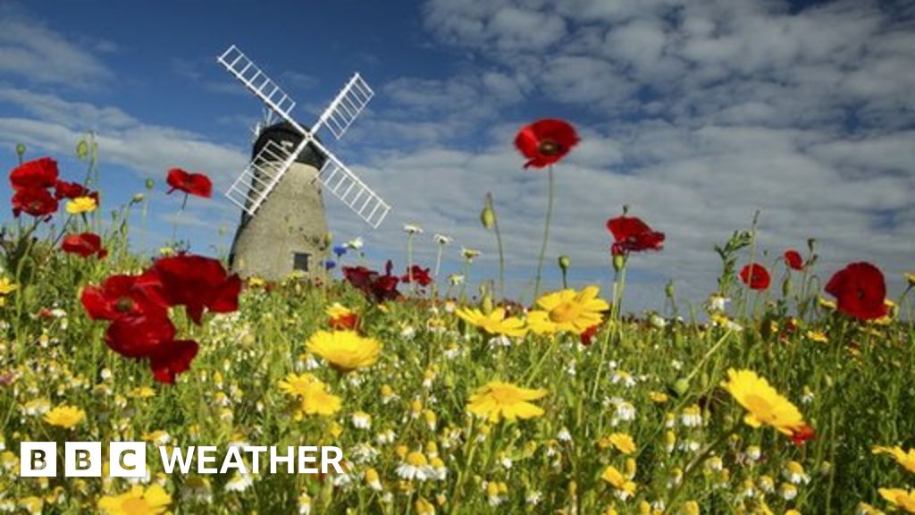 UK weather: June photos - BBC Weather