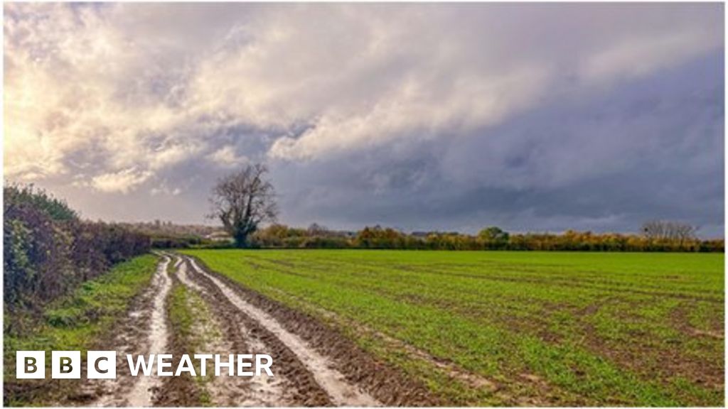 Weather for the week ahead - BBC Weather