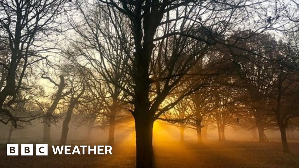 Wonderful winter morning scenes - BBC Weather
