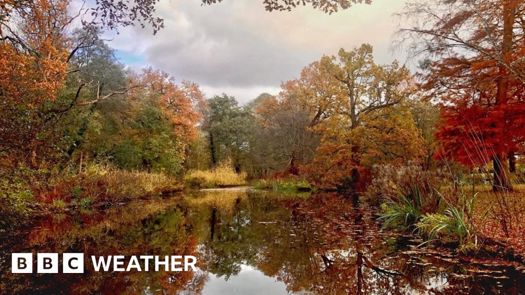 Wet summer unleashes spectacular autumn colours - BBC Weather