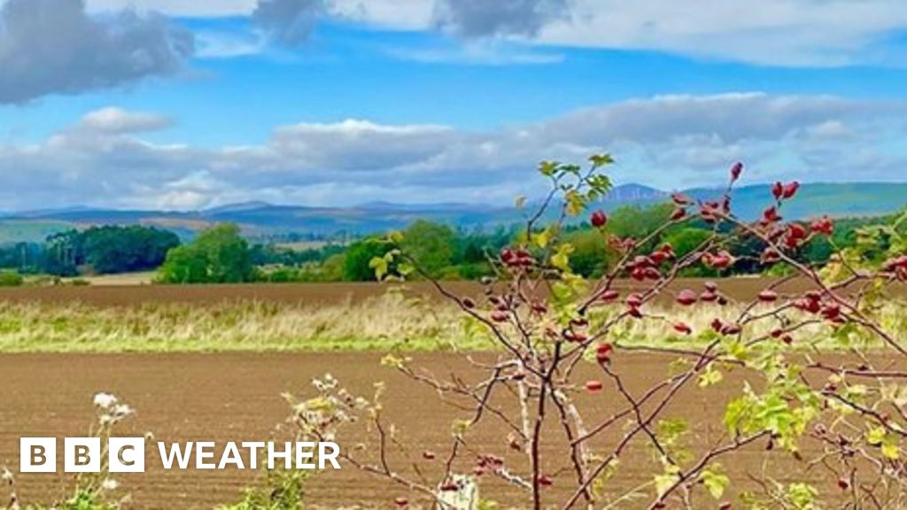Weather for the Week Ahead - BBC Weather