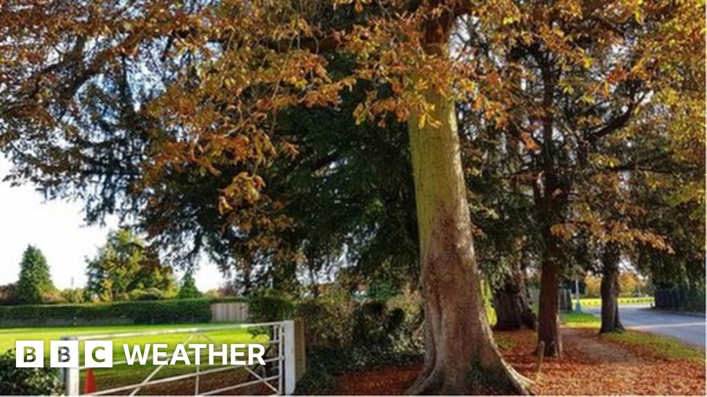 The changing colours of autumn - BBC Weather