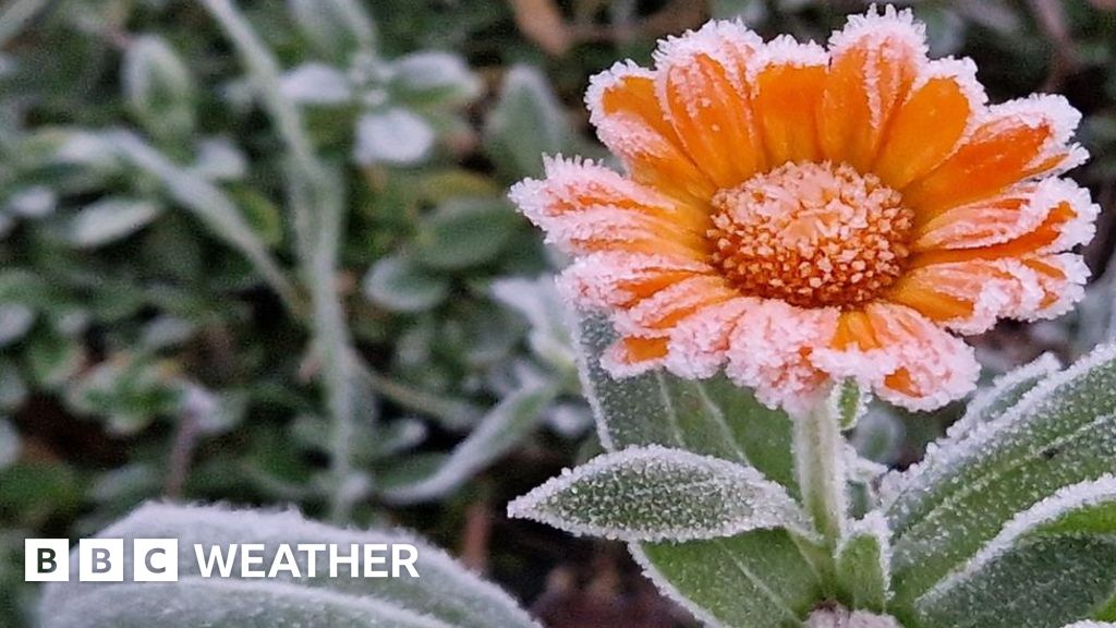 Is there more to frost than meets the eye? - BBC Weather