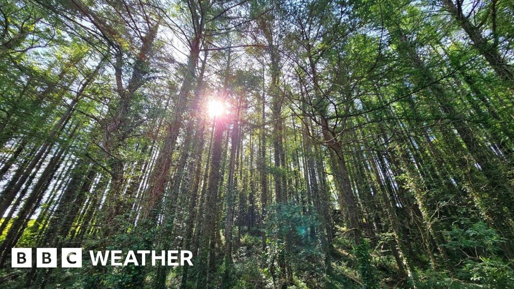 Weather for the Week Ahead - BBC Weather