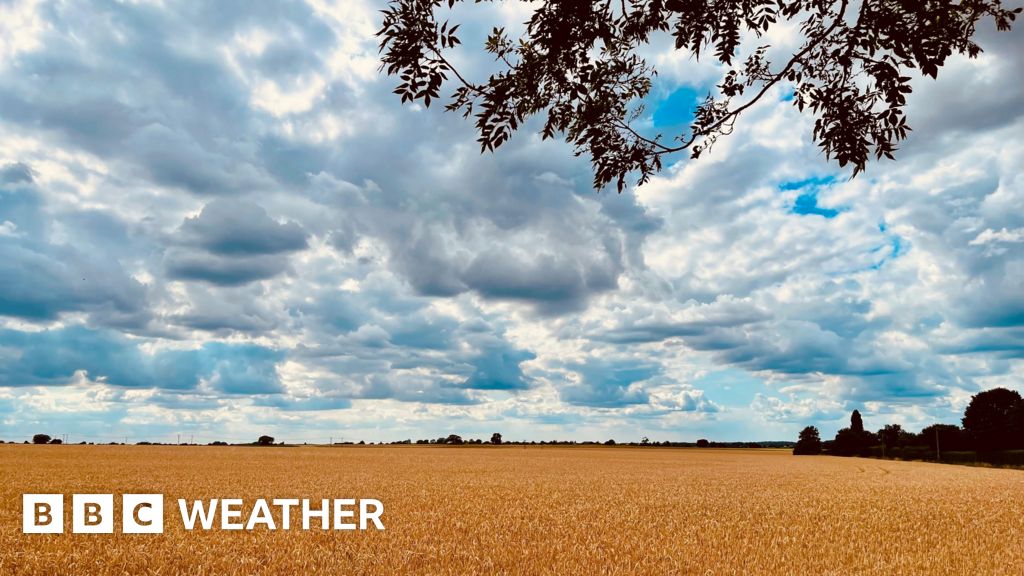 Weather for the week ahead - BBC Weather