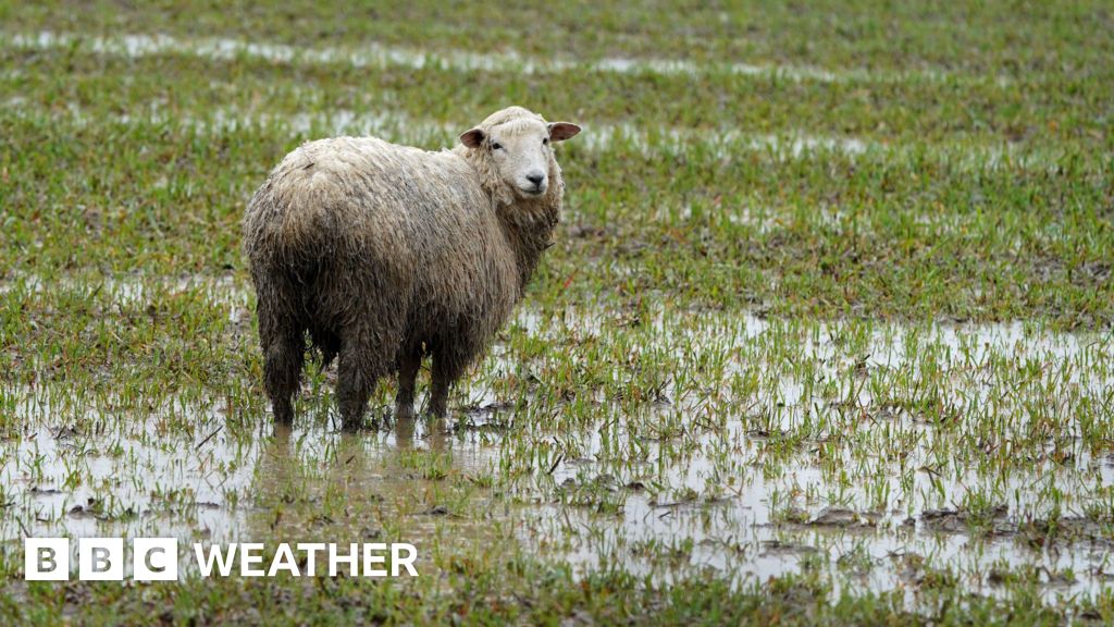 UK wet weather: The impact on farming and food prices - BBC Weather