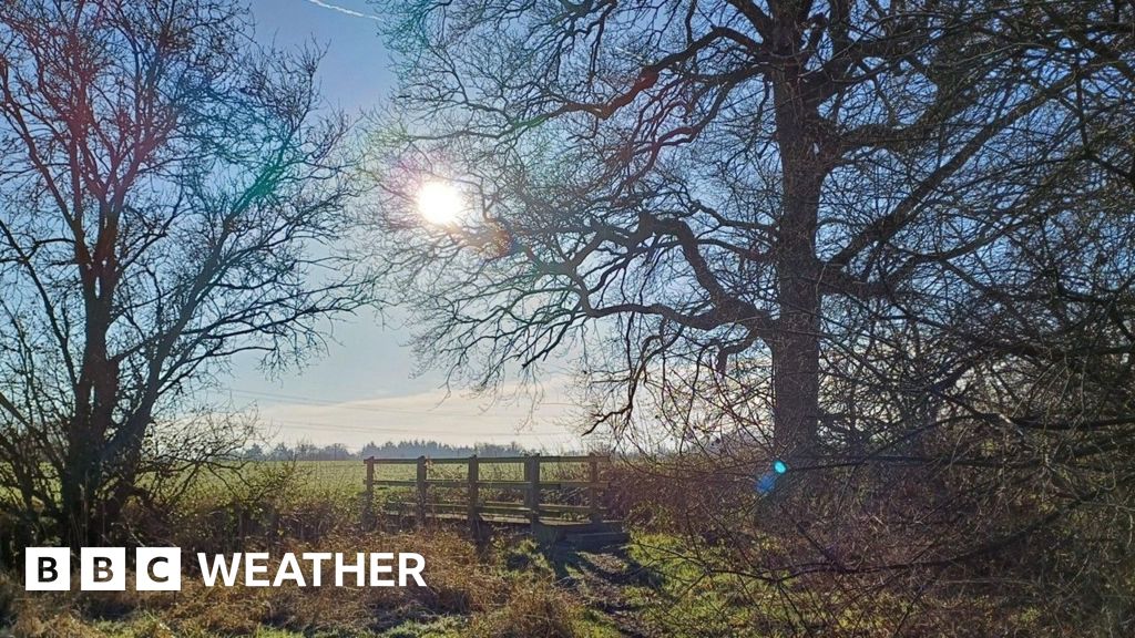 Weather for the Week Ahead - BBC Weather