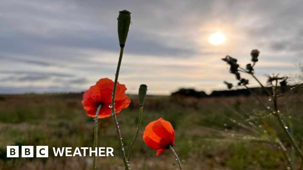 Weather for the Week Ahead - BBC Weather