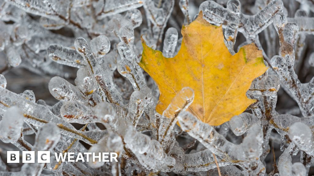 Freezing rain: What is it? - BBC Weather