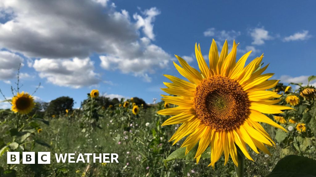 Monthly Outlook - BBC Weather