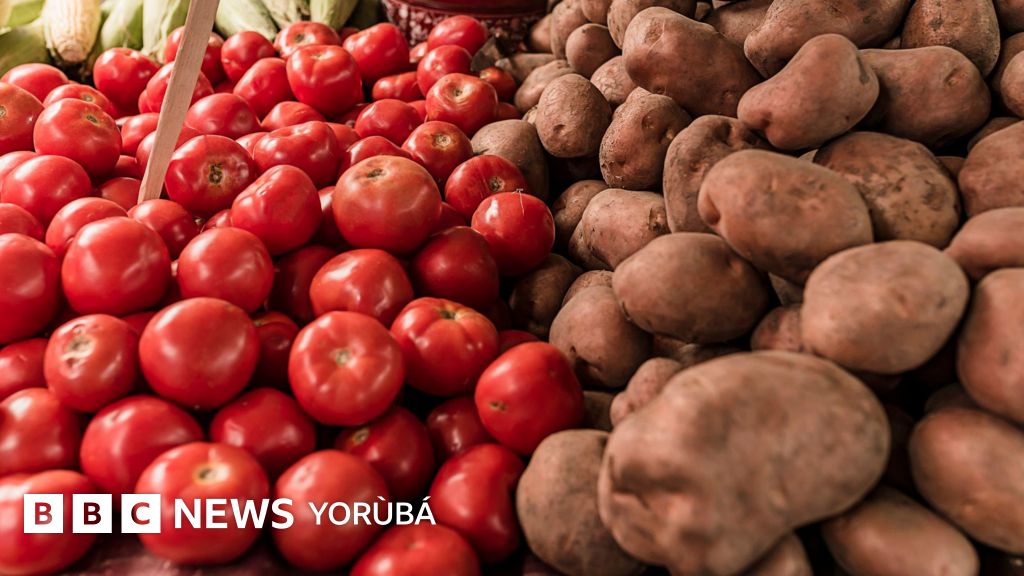 Ìdí rèé tó fi jẹ́ pé láti ara tomato ni ànàmọ́ 'potato' ti jáde - BBC ...