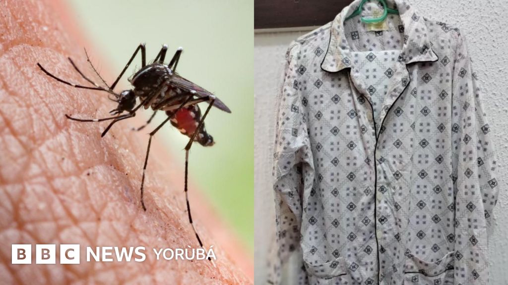 Anti Malaria in Nigeria: Àwọn onímọ̀ ní Naijiria pèsè àṣò àwọ̀sùn tó ń ...