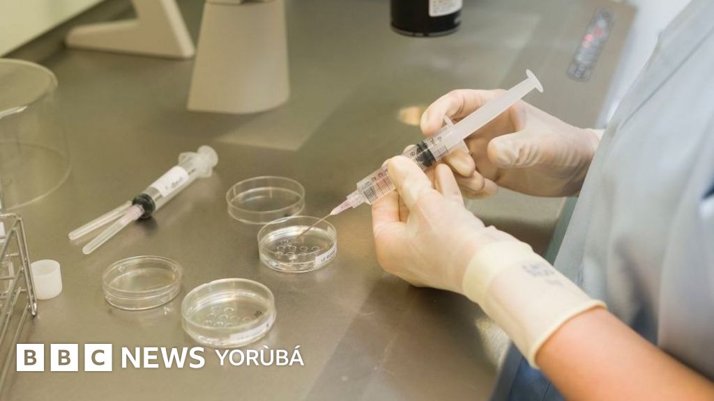 Male Contraceptives: Ó ṣeéṣe káwọn ọkùnrin náà ní oogùn ìfètòsọ́mọbíbí ...