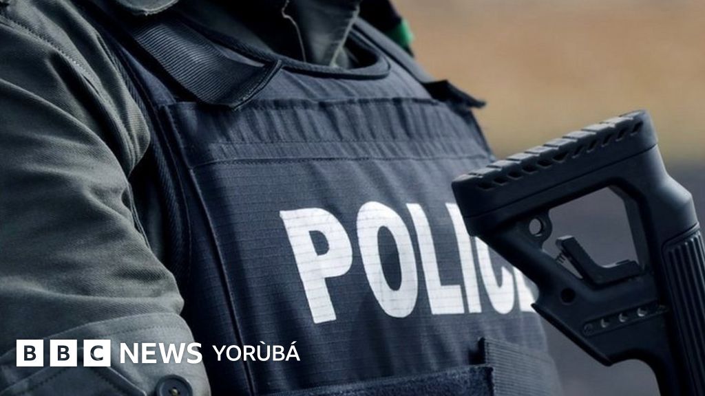 Wo bí ìwádìí ọlọ́pàá ṣé ṣàwárí arábìnrin ìbátan ọmọ òrukàn méjì tí wọ́n ...