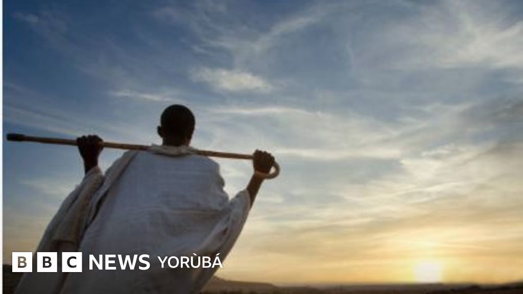 Ọwọ́ tẹ àgbẹ̀ tó ṣekúpa 'àwọn tó wá ṣa ìgbín' lóko rẹ̀, Ó ní wọ́n wá ja ...