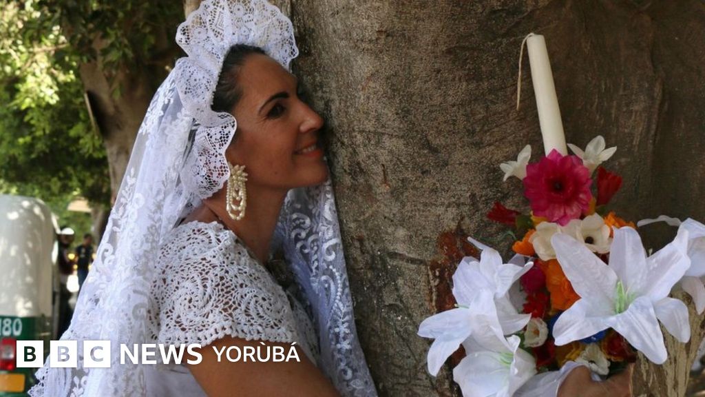 Women marry trees: Àwọn obìnrin ń ṣe ìgbéyàwó pẹ̀lú igi láti ṣàfihàn ...