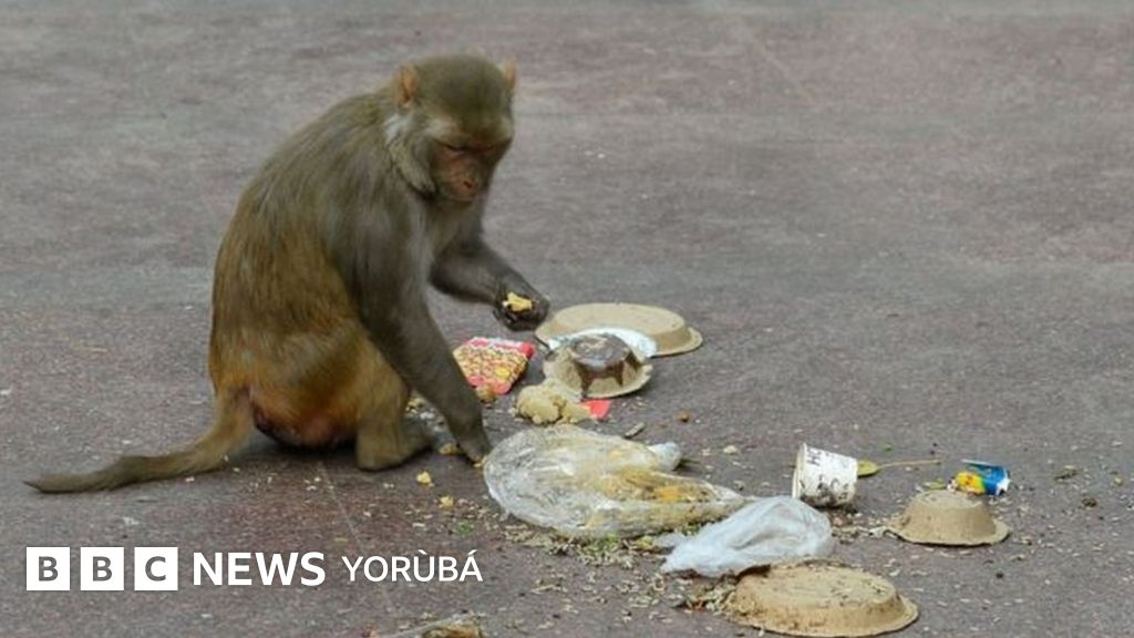 Èkó: Ọ̀bọ lé àwọn ènìyàn kúrò ní Gbàgádà - BBC News Yorùbá