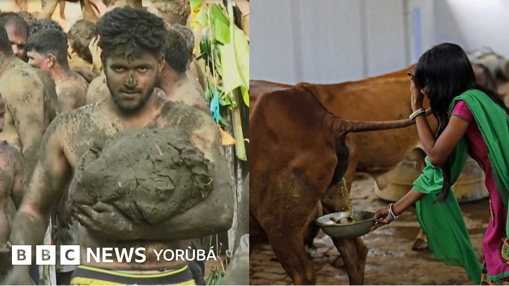 Cow Dung: Ẹ̀ Wo ohun tí wọ́n n fí ìgbẹ́ màlúu ṣe ní ilú yìí - BBC News ...