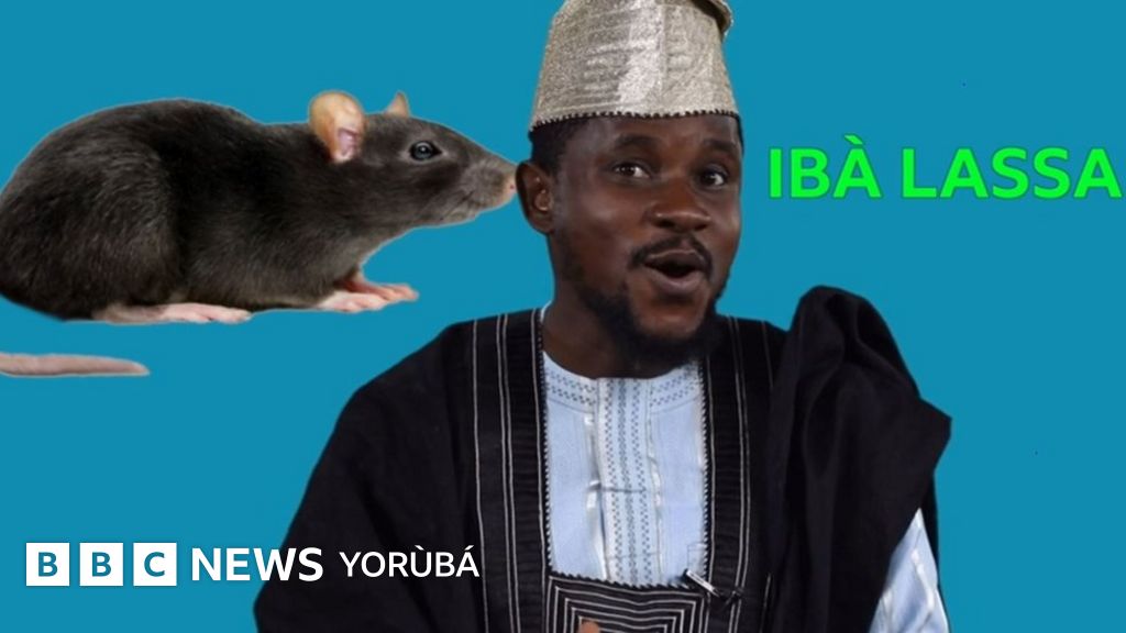 Lassa Fever: Ìwádìí ní èèyàn 219 ni ibà Lassa pa lọ́dún tó lọ́, 29 ...