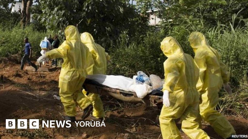 Lassa: Ẹnikan ku,ogoji mii wa labẹ ayẹwo l'Ọsun - BBC News Yorùbá