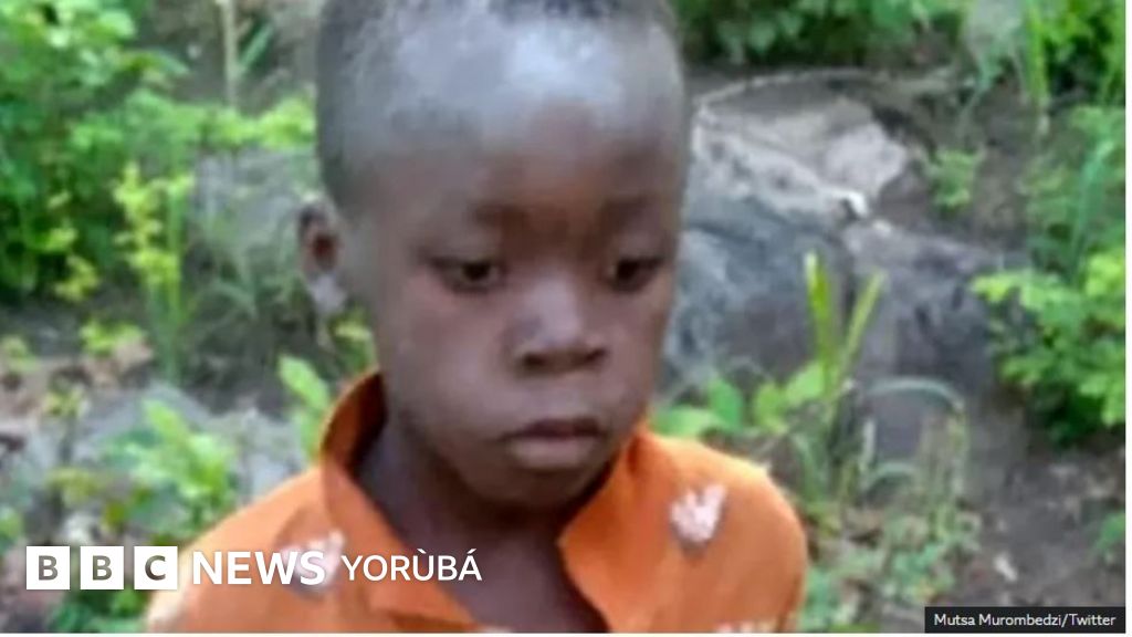 Ọmọ ọdún mẹ́jọ jáde láàyè lẹ́yìn tó lo ọjọ́ márùn-ún pẹ̀lú kìnìún bí ...