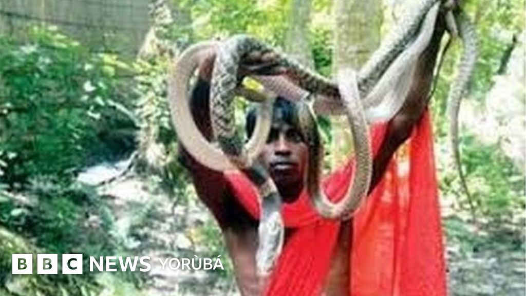 Snake Worship in Nigeria: Wo ìlú mẹ́rìn-in tó ń bọ tàbí sin ejò bí ...
