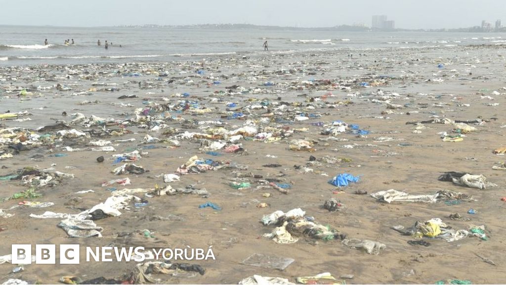 Plastic Bags: Kíni ìdí tí wọn fi fẹ́ fòfin de lílo nylon ní Naijiria ...