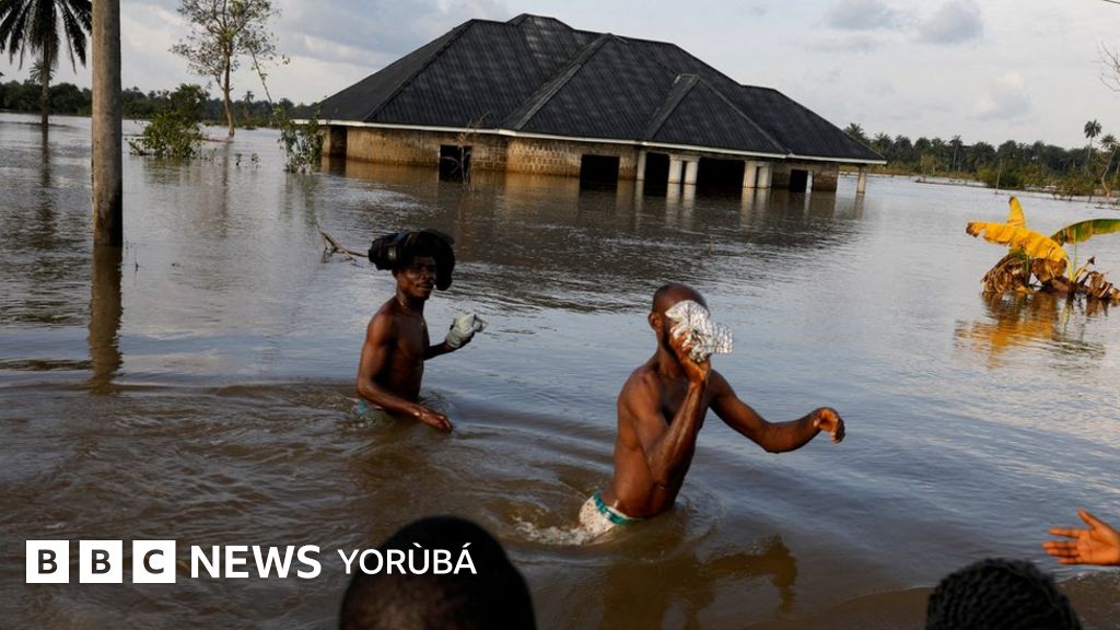 Cop 27, Climate change: Àtúpalẹ̀ àwọn nípa àyípadà ojú ọjọ́ tí kìí ṣe òótọ́ - BBC News Yorùbá