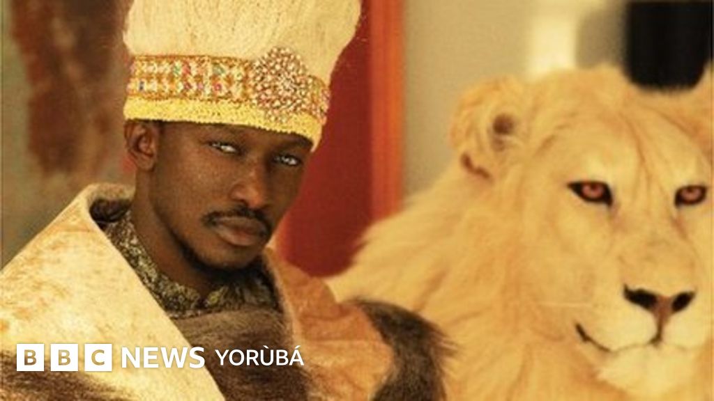 Freedom Jacob Caesar: Ìdí tí mo fi ń sin ẹkùn méjì bí ẹran ọ̀sín nínu ...