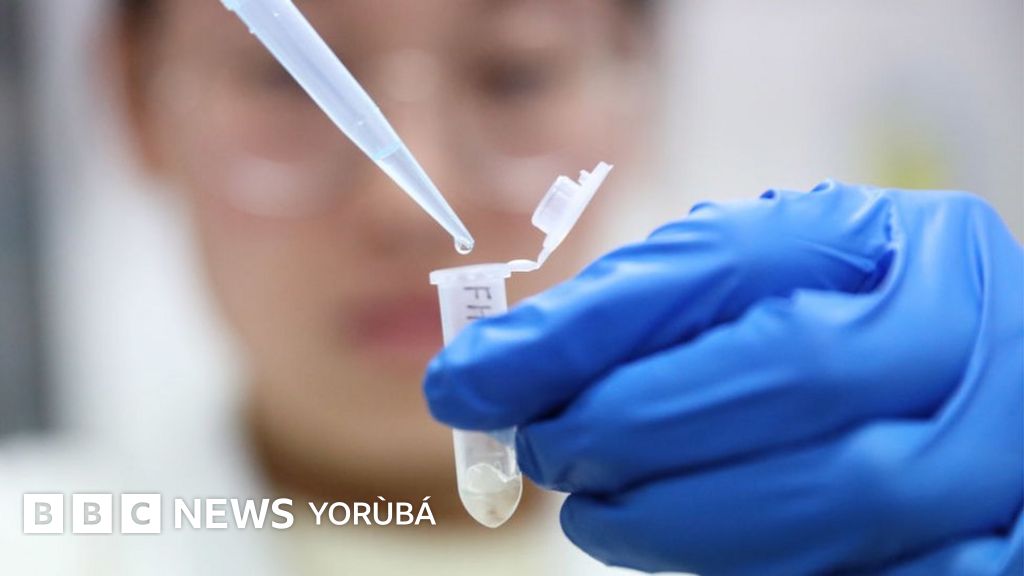 Paternal DNA Test: Ẹ wo àlàyé lórí àyèwò DNA tó ń jà rànyìn lórí ...