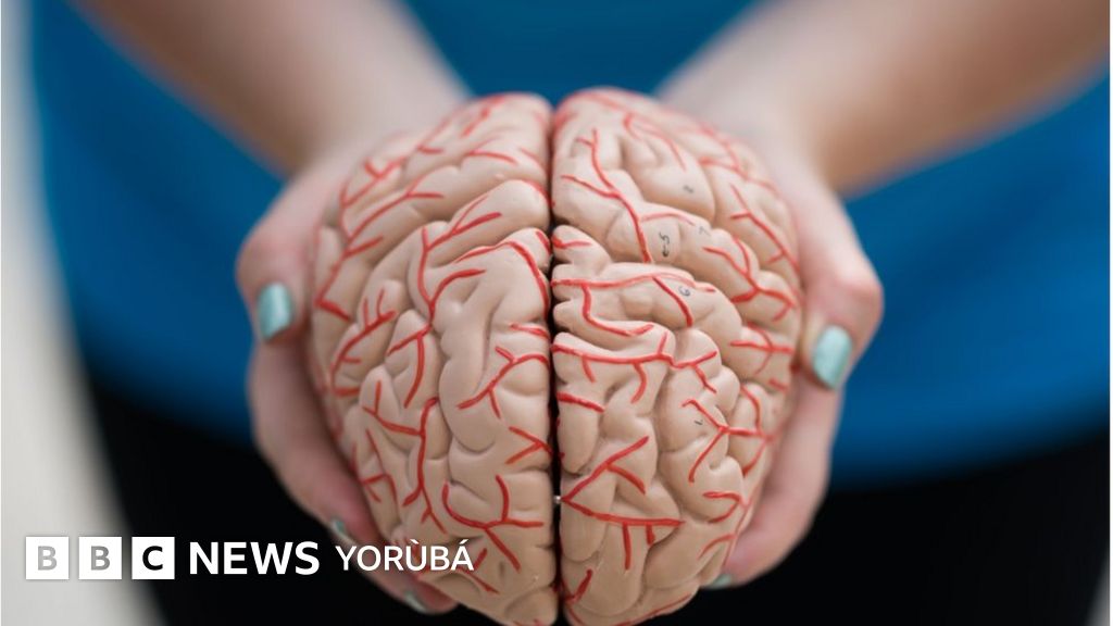 Habits that damage brain: Wo àwọn ìṣesí ojoojúmọ́ mẹ́wàá tó le ṣàkóbá ...