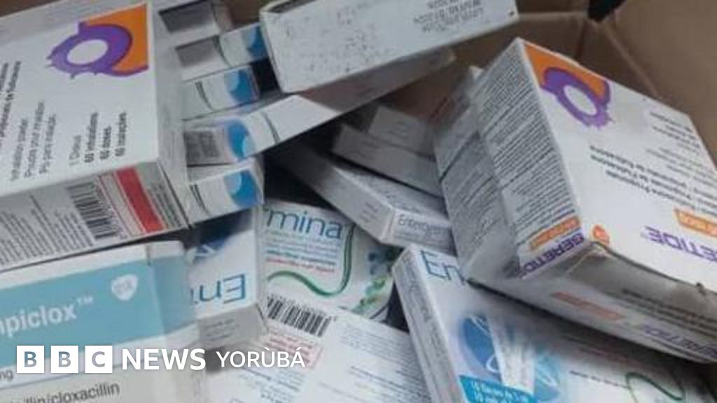 Wo bí o ṣe lè dá ayédèrú òògùn mọ̀ lórí igbá - BBC News Yorùbá