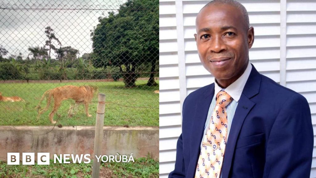 Kìnìún fa òṣìṣẹ́ fáṣítì OAU ya lẹ́yìn ọdún mẹ́sàn-án tó ti ń fún-un ní ...