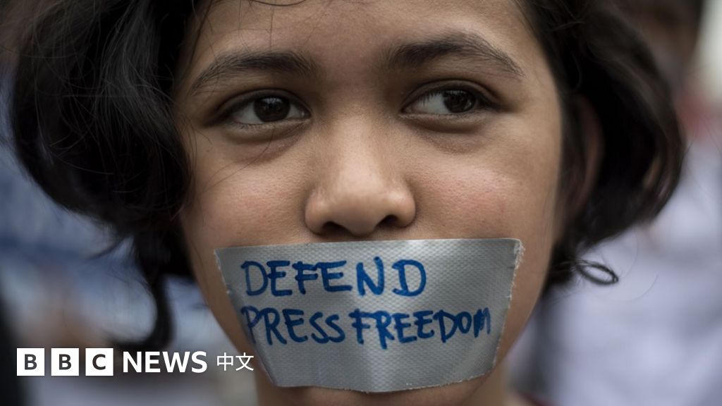那些像特朗普一样讨厌媒体的国家 - BBC News 中文