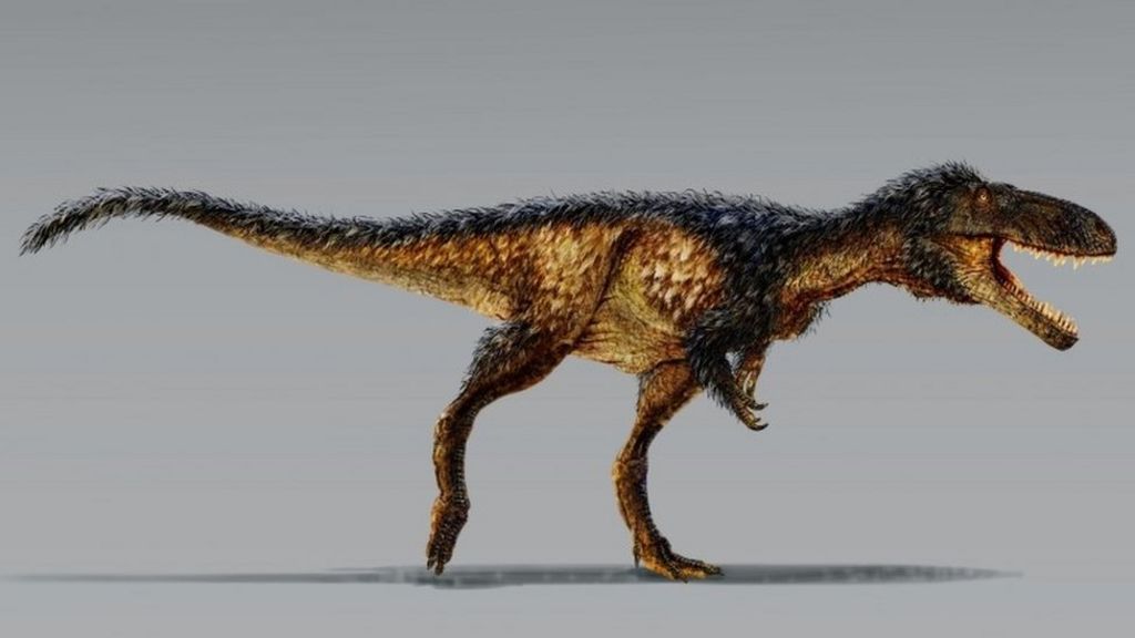 New horse-sized species of Tyrannosaur discovered - BBC Newsround