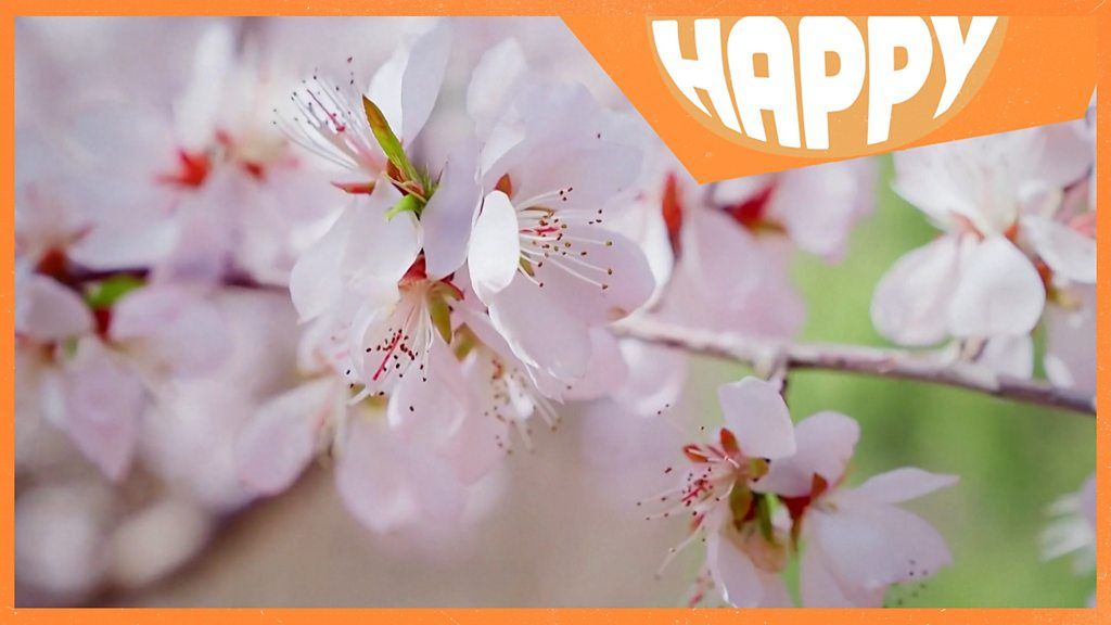 Bafta TV Awards 2022: What have been your telly best bits? - BBC Newsround