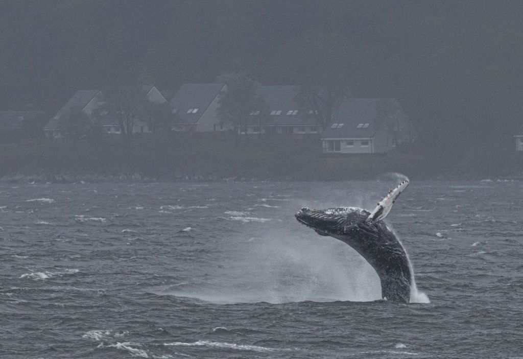 Your pictures of Scotland: Photographs from around the country - BBC News