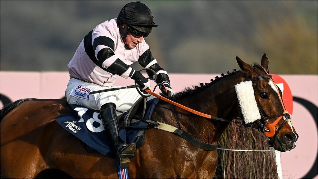 Bradley Gibbs: Welsh jockey stays grounded after Cheltenham win - BBC Sport