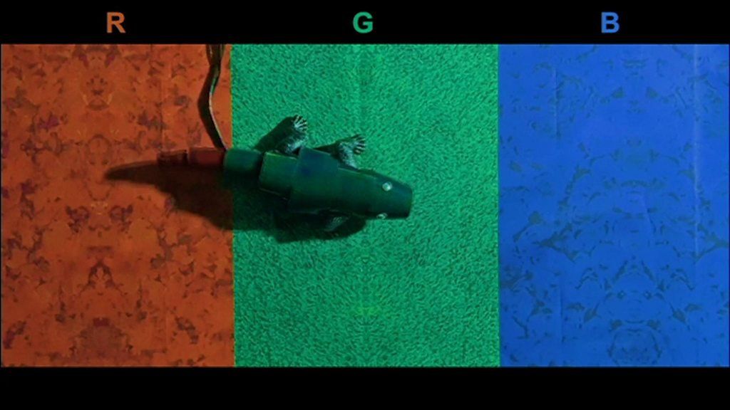 Watch: Scientists create robot chameleon that changes colour! - BBC ...