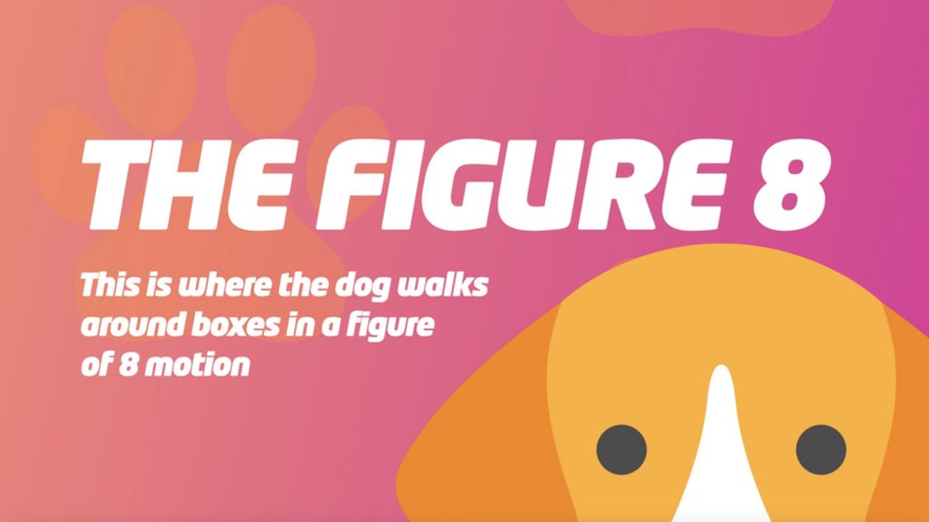 In this video, Kate explains how you can teach your dog to perform the ...