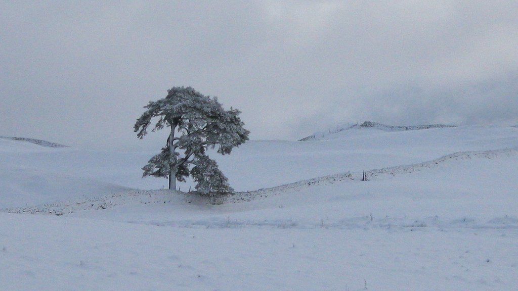 Your pictures of snow-covered Scotland - BBC News