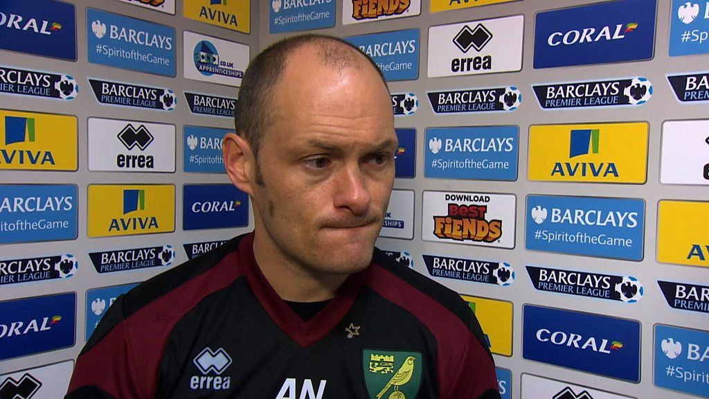 Norwich 0-3 Sunderland: We will have to do it the hard way - Alex Neil ...