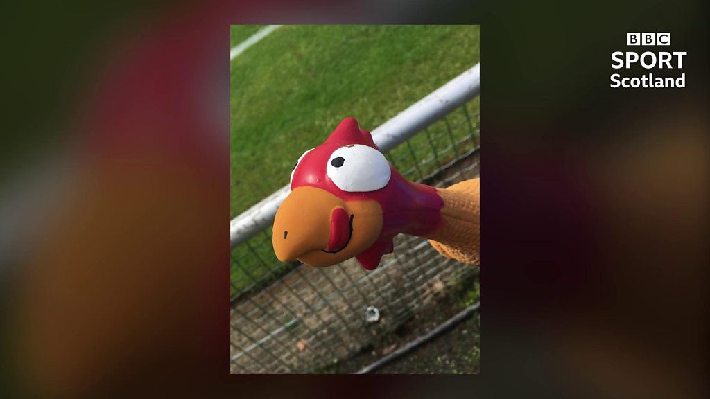 'Just throw the chicken and run' - how Scotland's players relax in ...