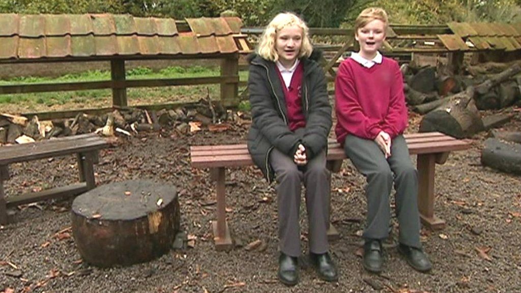 BBC Young Reporters: This is our school and we love it here - BBC Newsround