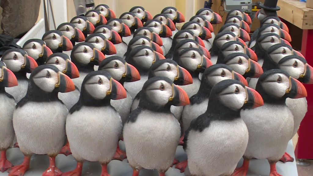 Fake puffins used in Isle of Man to attract real birds - BBC Newsround
