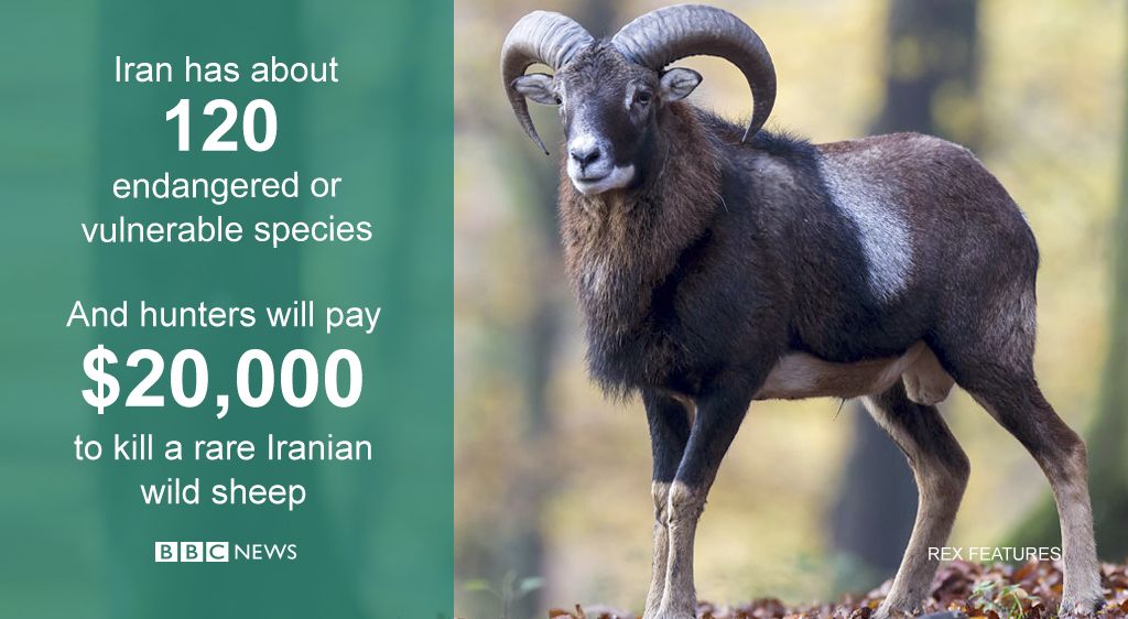Go Figure: The week in numbers - BBC News