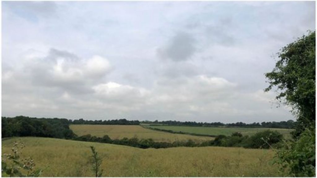 Weather for the Week Ahead - BBC Weather